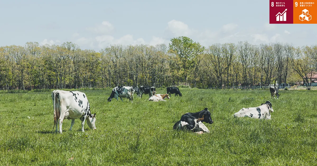 リジェネラティブ農業で北海道の菓子を世界へ｜【連載】SDGsリレーインタビュー｜Aktio Note-アクティオノート〜創造する人のためのノート〜