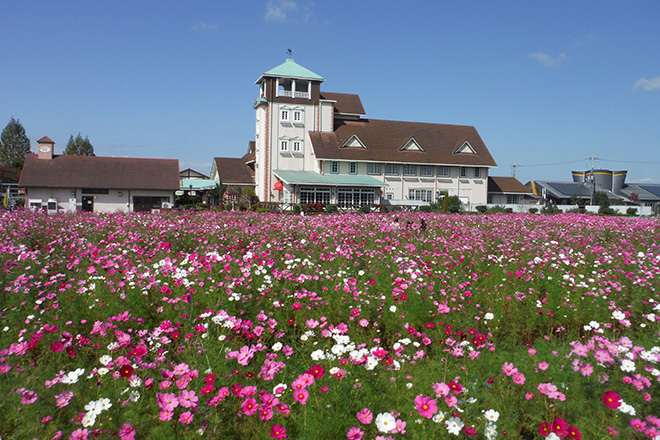 地域観光のあり方を映し出す、道の駅建築10選｜【連載】食べて、学んで、楽しめる！道の駅｜Aktio Note-アクティオノート〜創造する人のためのノート〜